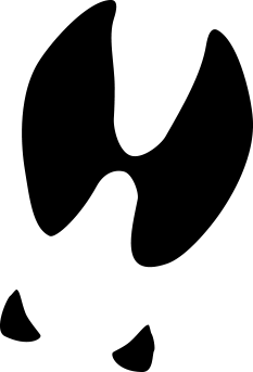 Buck Deer Track | White Water Archery