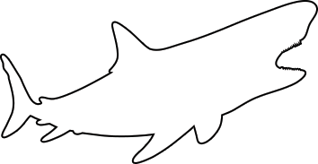 Great White Shark White Version | White Water Archery