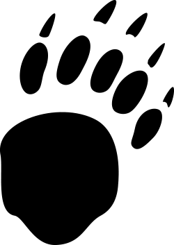 Grizzly Bear Back Foot Track | White Water Archery