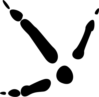 Turkey Track | White Water Archery