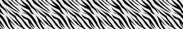 Zebra – 5 In_result | White Water Archery