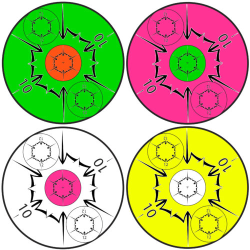 3D Target Scoring Ring Decals | White Water Archery