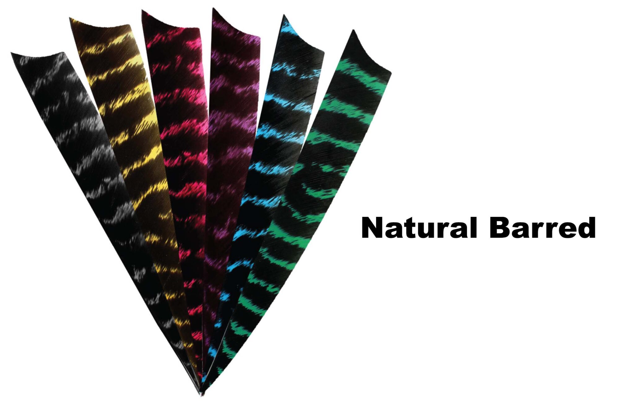 Premium Custom White Water Archery Arrow Build with Reflective American ...