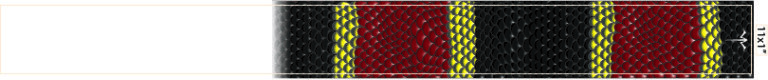 Custom James Schaffner Coral Snake Fade to White Arrow Wraps | White ...